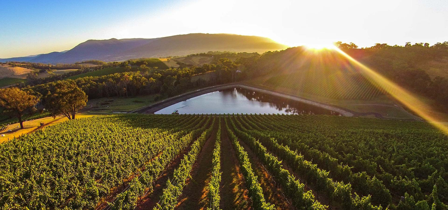 Winetopia International | Buy Fine Wine and Spirits Online